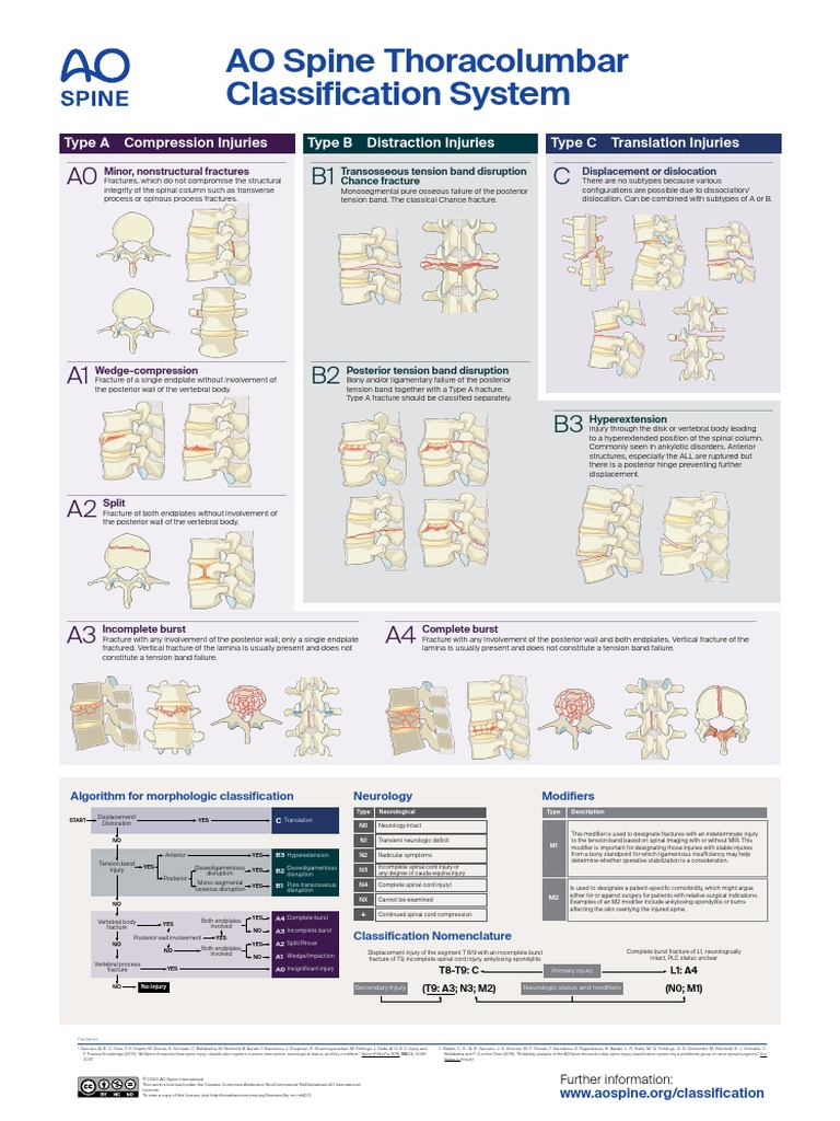 Ao Spine Thoracolumbar Classification System Pdf Vertebra