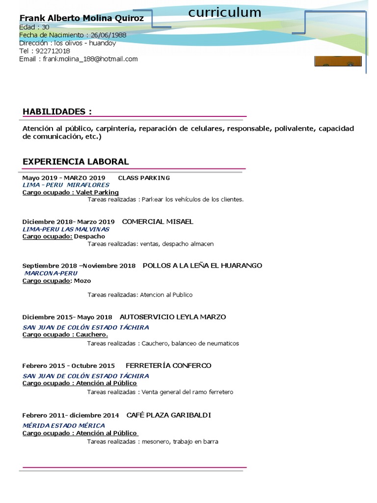 Curriculum Frank (Frank Molina) | PDF