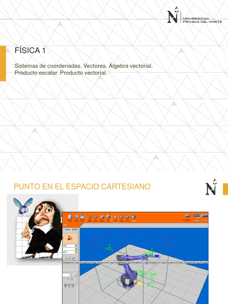 SEMANA 02 - Vectores PDF | PDF | Vector Euclidiano | Escalar (Matemáticas)