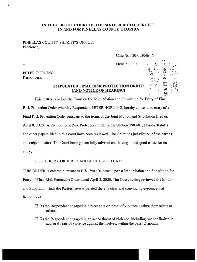 Final Risk Protection Order for Horning | PDF | Restraining Order ...