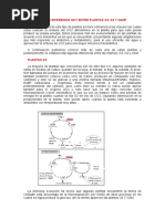 Reacción Hill | PDF | Fotosíntesis | Metabolismo
