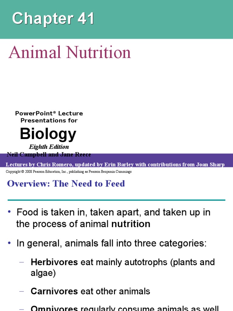 Chapter 41 - Animal Nutrition | PDF | Human Digestive System | Stomach