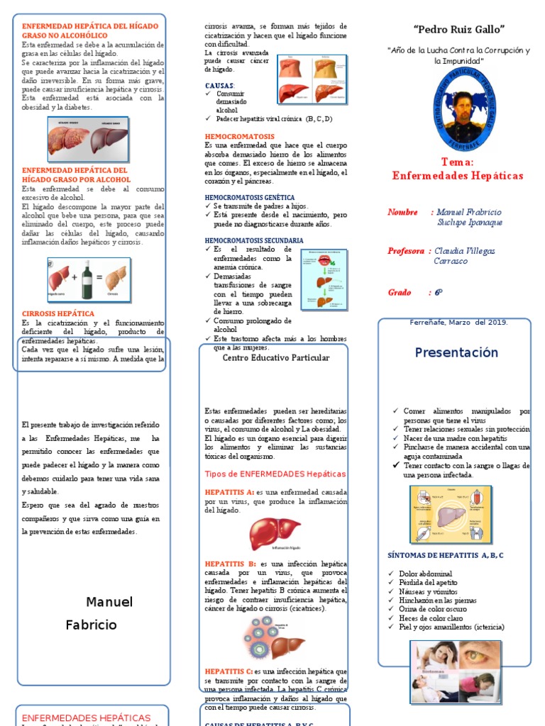 Triptico Enfermedades hepáticas-IMPRIMIR | PDF | Hepatitis | Cirrosis