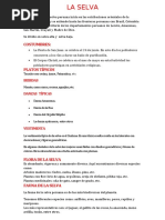 Linea de Fulcrum | PDF