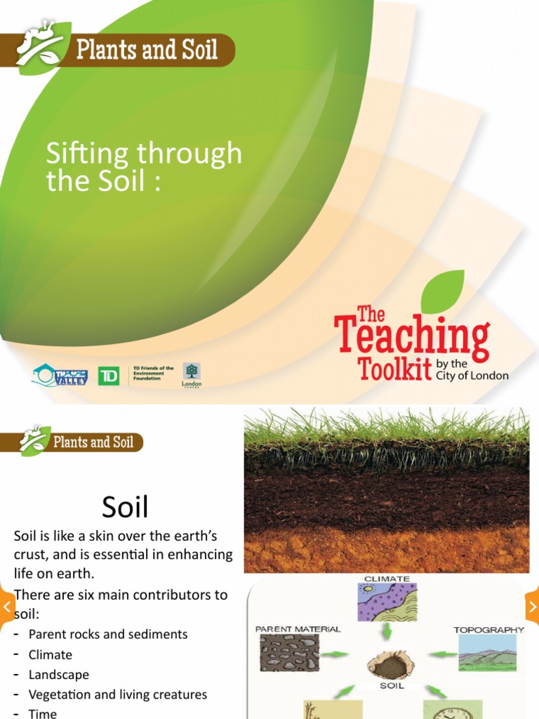 Factors Affecting To Soil Formation | PDF | Soil | Soil Science