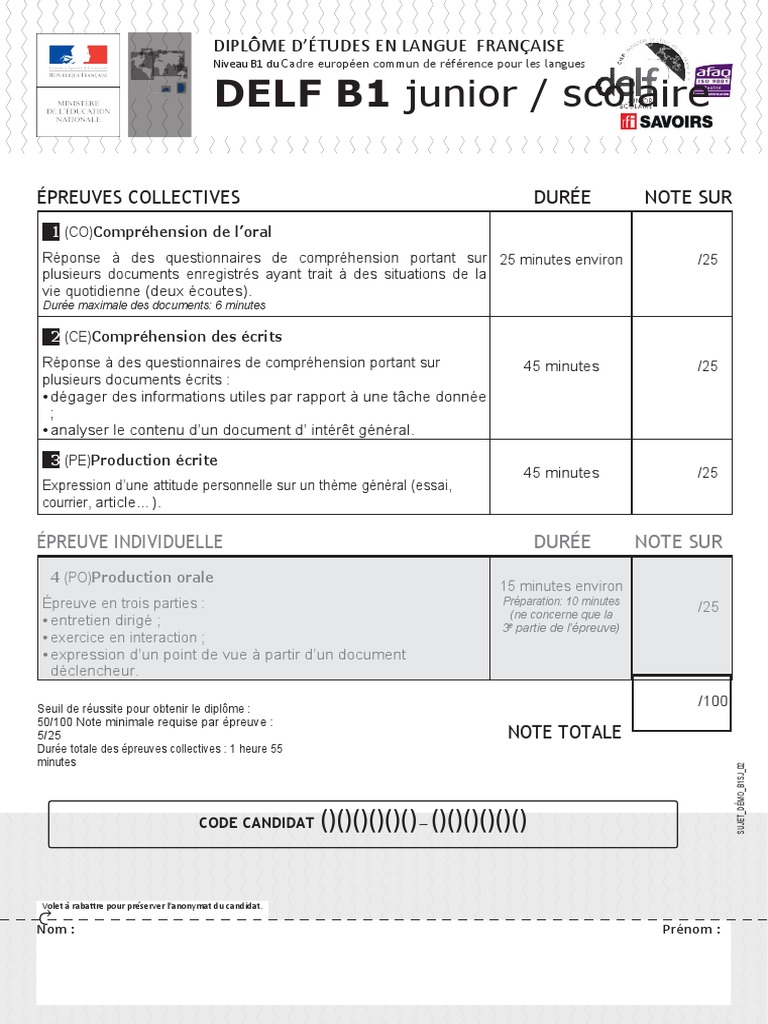 exemple-3-sujet-delf-b1-junior-document-candidat-comprehension-ecrite ...