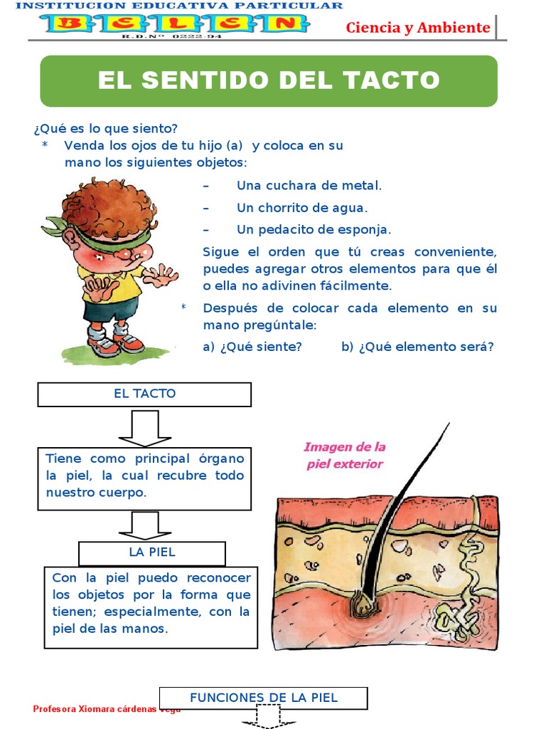 Hojas De Trabajo Sobre El Sentido Del Tacto