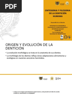 Operculectomía: Técnica y Procedimiento | PDF | Diente humano ...