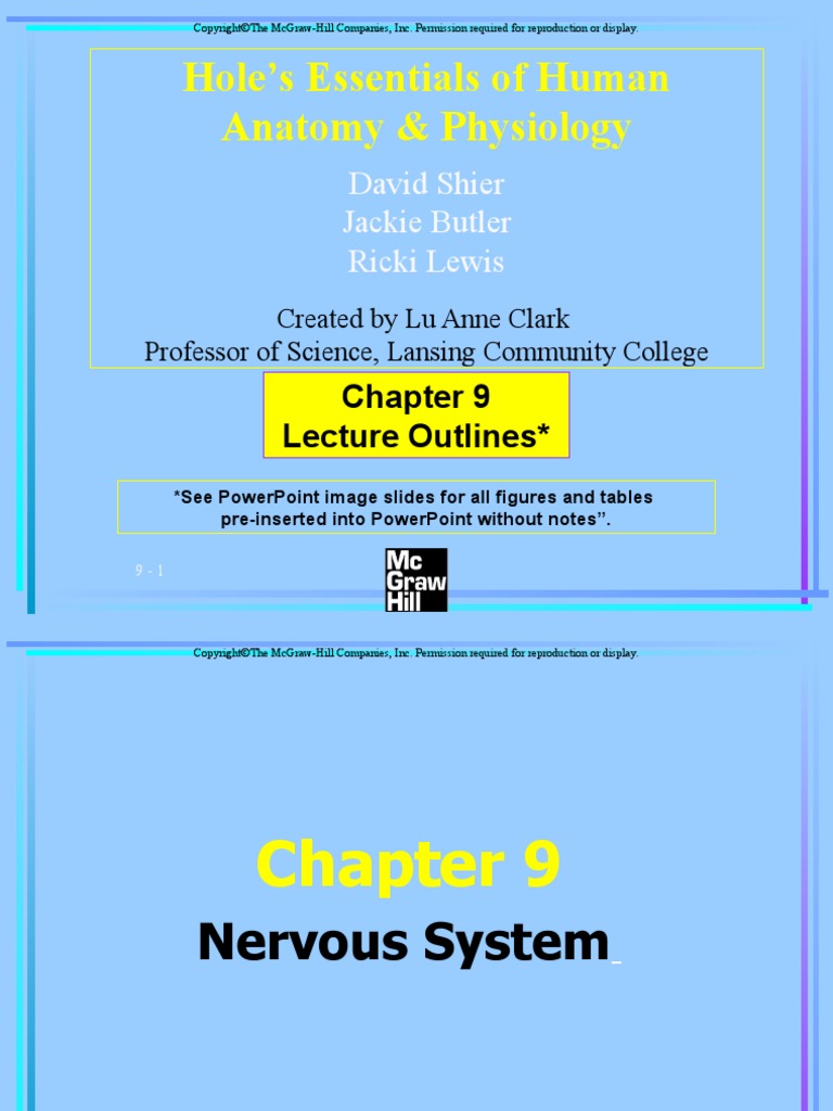 Hole's Essentials of Human Anatomy & Physiology: David Shier Jackie ...
