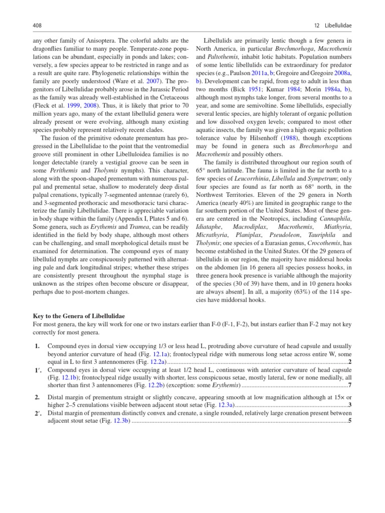 Clave Ninfas Libellulidae | PDF | Anatomical Terms Of Location | Dragonfly