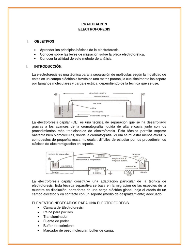 Practica 09 - Electroforesis | PDF | Electroforesis | Electroforesis capilar
