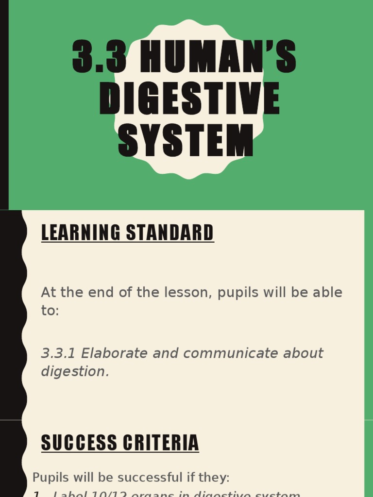 3.3 Human Digestive System | PDF