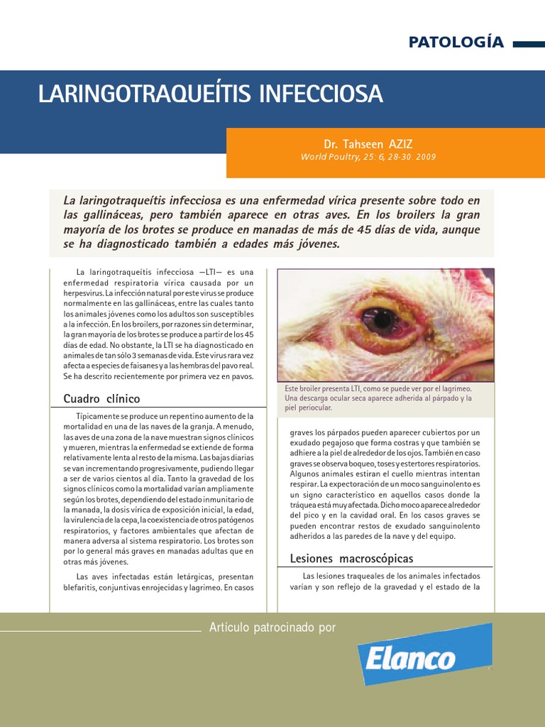 4972 Laringotraqueitis Infecciosa | PDF | Membrana mucosa | Epitelio