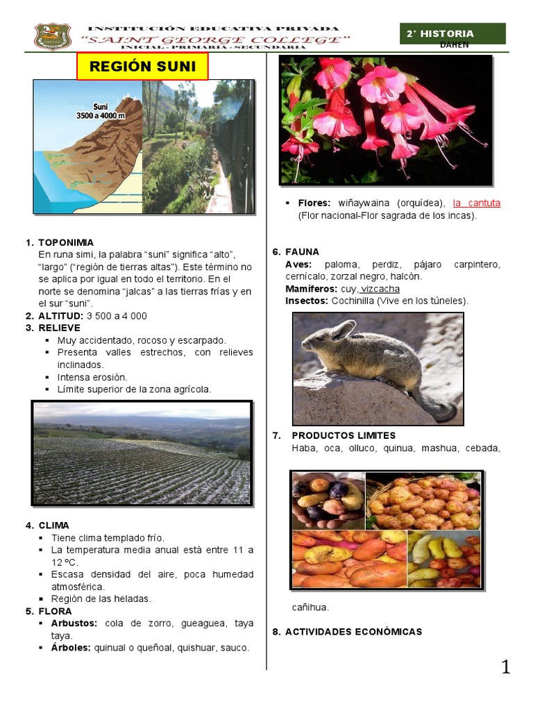 2°GEO REGIONES SUNI | PDF