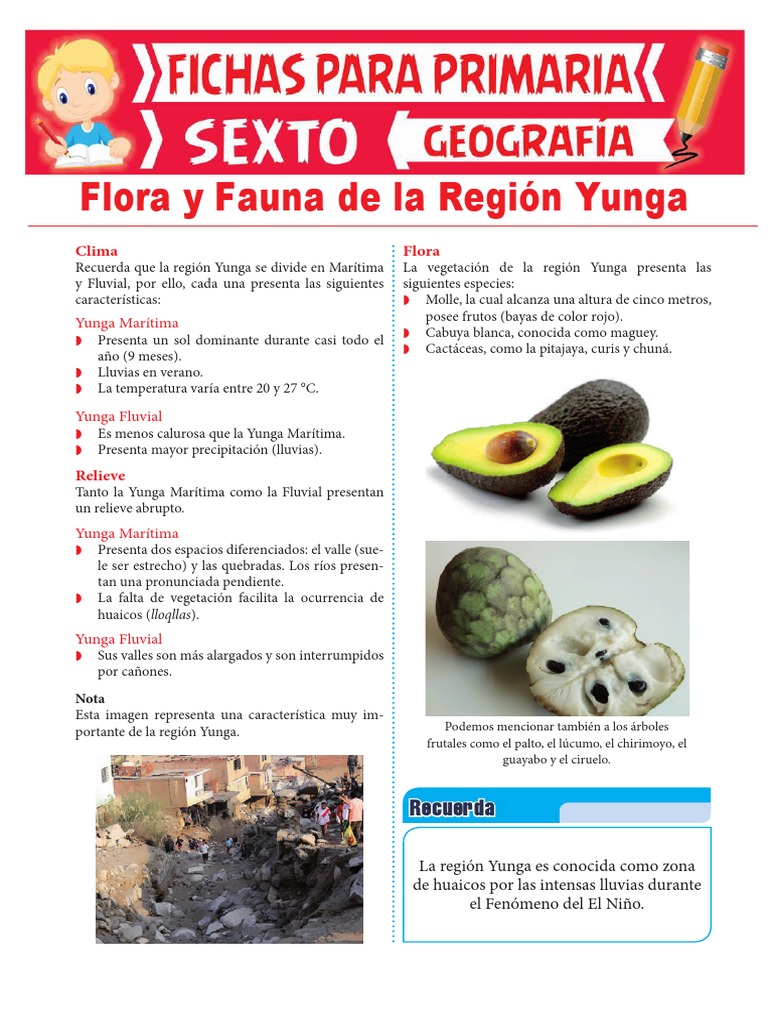 Flora y Fauna de La Región Yunga: Recuerda | PDF | Plantas | Naturaleza