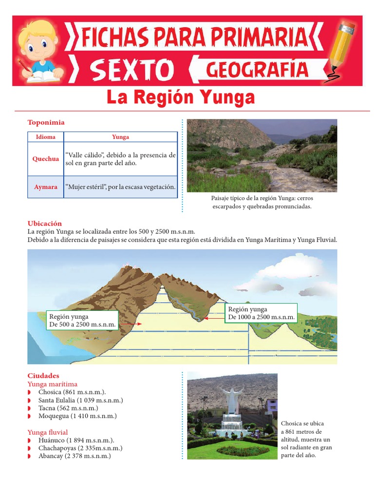 La Región Yunga: Toponimia | PDF | Epidemiología | Microbiología