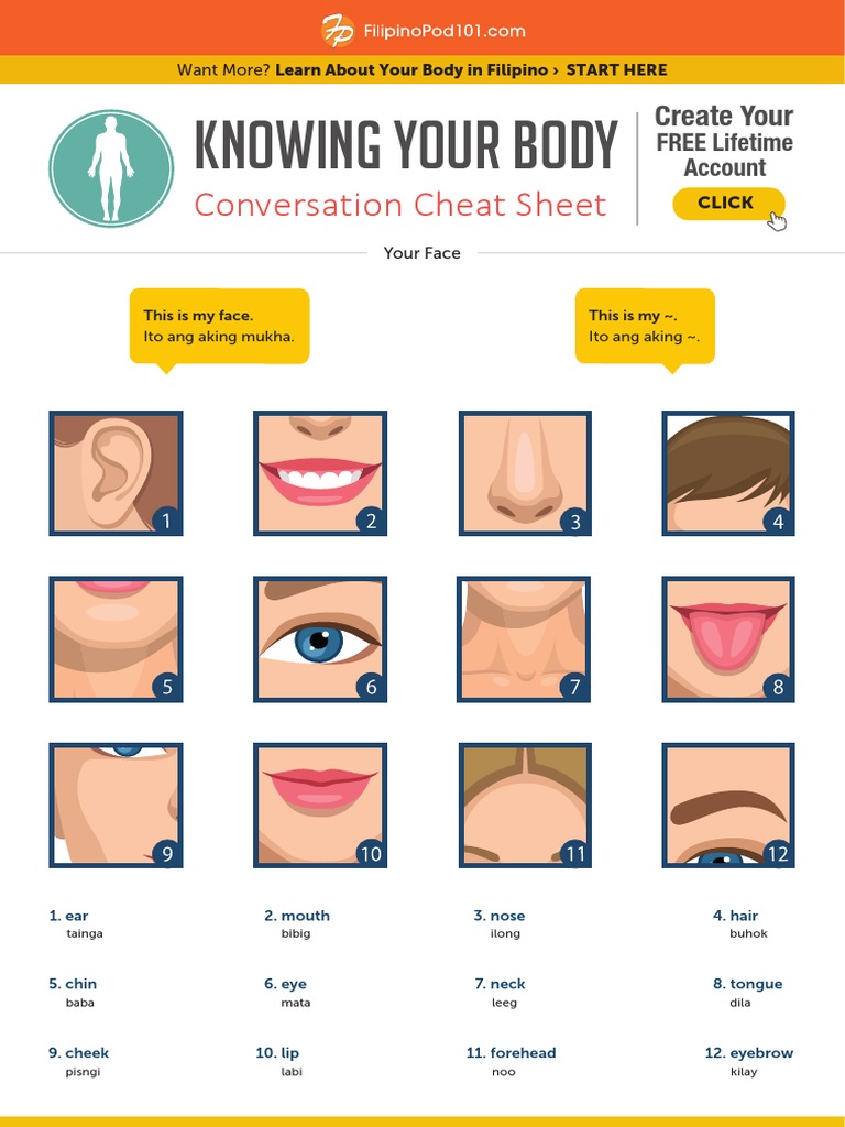 Knowing Your Body: Conversation Cheat Sheet | PDF | Human Head And Neck ...