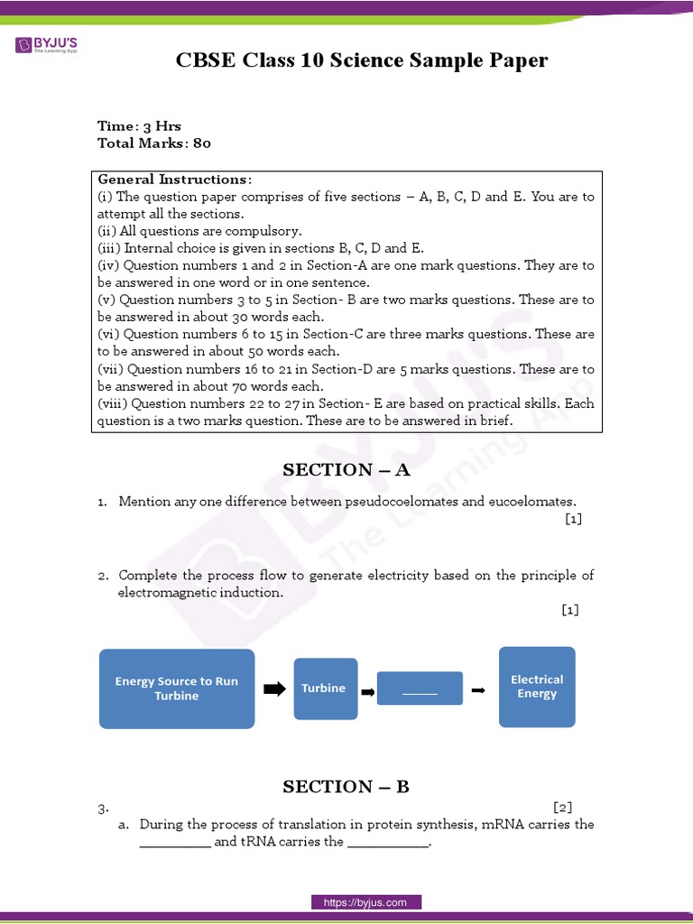 CBSE Class 10 Science Sample Paper Set 1 PDF | PDF | Translation ...