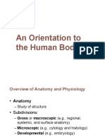 Introduction To Human Physiology | PDF | Human Body | Homeostasis