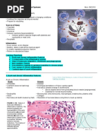 15 Rectal Prolapse - Libre Pathology | PDF | Rectum | Medicine