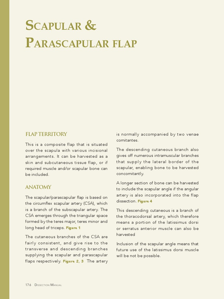 Z - SCAPULAR and PARASCAPULAR FLAP | PDF | Limbs (Anatomy ...