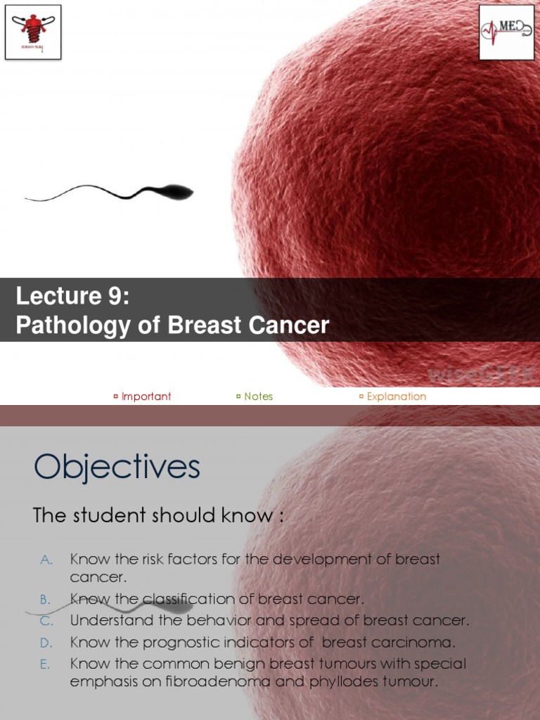 Pathology of Breast Cancer Overview | PDF | Breast Cancer | Metastasis