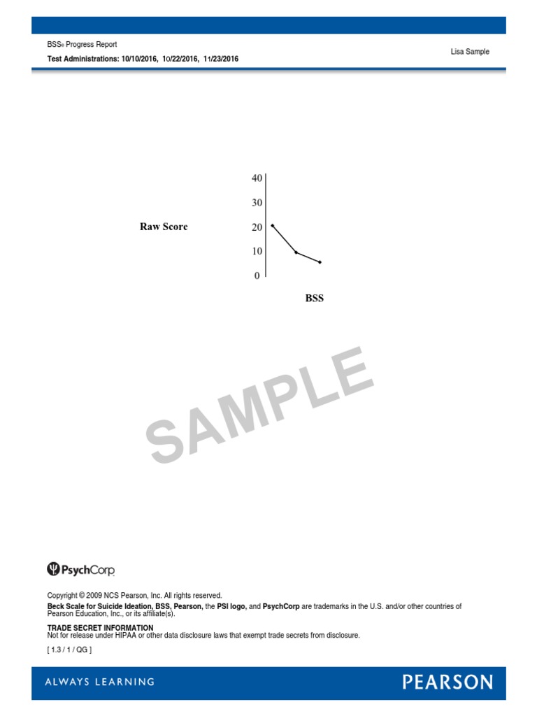 BSS Sample Progress Report | PDF
