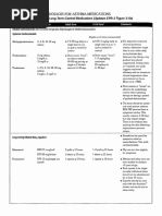 Inhaled Corticosteroid Dose Conversion Chart | PDF