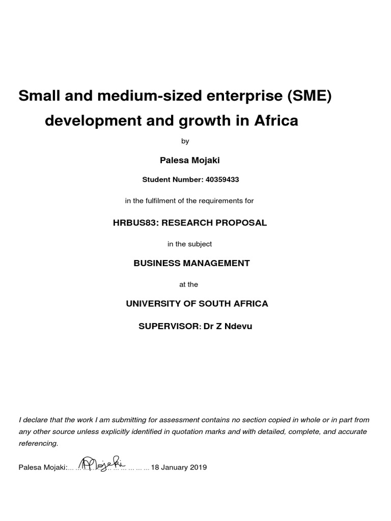 SME Development and Growth in SA | PDF | Entrepreneurship | Small And ...