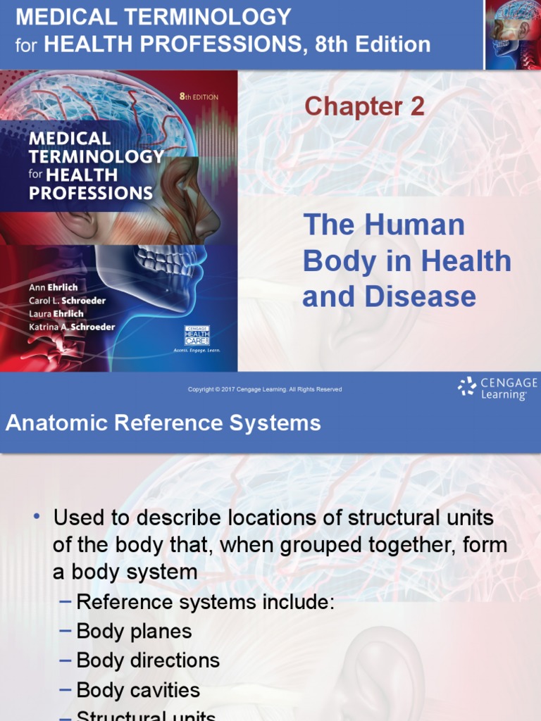 Body Organization | PDF | Anatomical Terms Of Location | Transmission ...