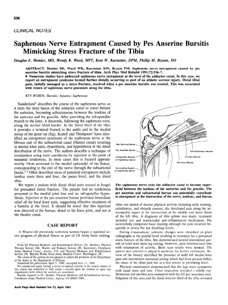 Saphenous Nerve Entrapment | PDF | Knee | Limbs (Anatomy)