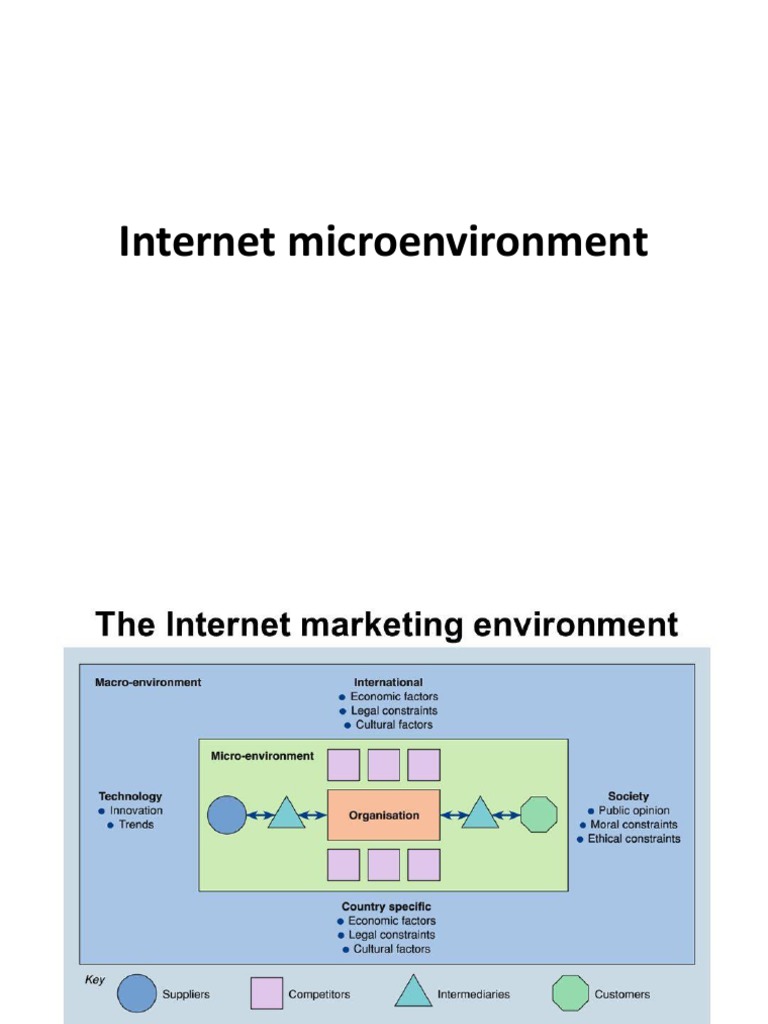 Internet Microenvironment | PDF | Marketing | Customer