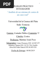 Tallos Modificados - Botánica | PDF | Tallo de la planta | Morfología ...