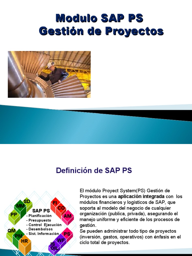 Presentacion PS | PDF | Presupuesto | Business