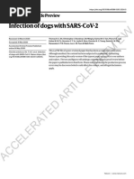 PCAP Guidelines and Risk Classification | PDF | Pneumonia | Methicillin ...