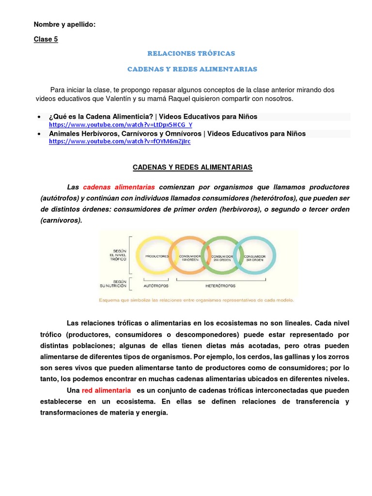 Secuencia Clase 5 | PDF | Red alimentaria | Ecología de sistemas
