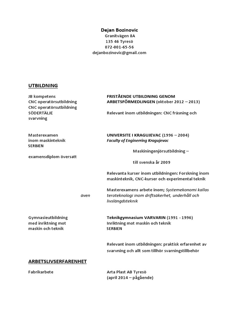 CV Dejan B PDF | PDF
