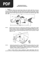 Fungsi dan Jenis Sirip Ikan | PDF