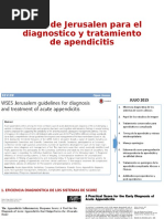 Incisión Rocky Davis | PDF | Medicina CLINICA | Anatomía