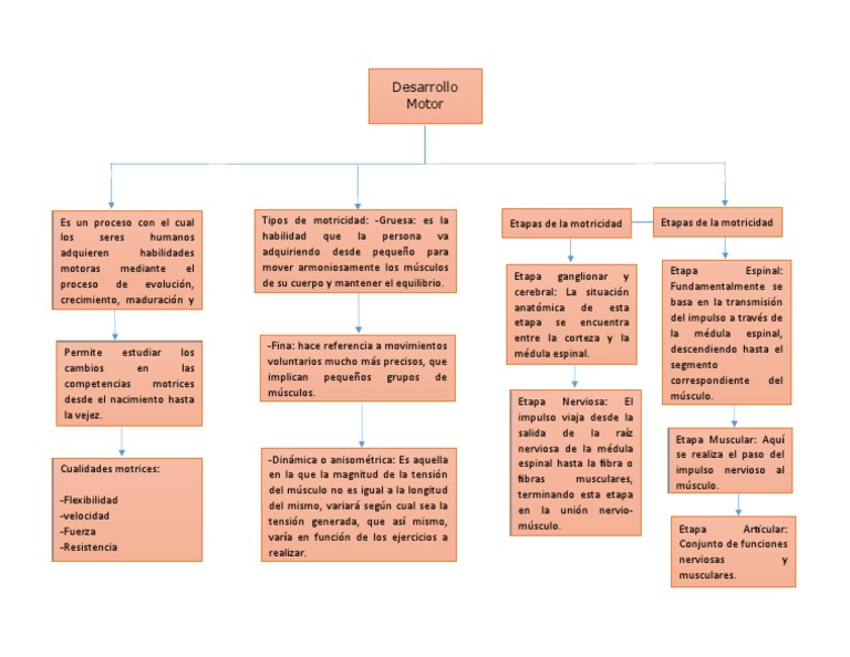 Mapa Conceptual Motor | PDF | Neuroanatomía | Anatomia animal