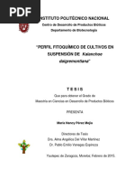 Guía Completa del Sistema Croamis | PDF