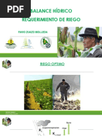 Suelos Vertisol | PDF | Suelo | Degradación ambiental