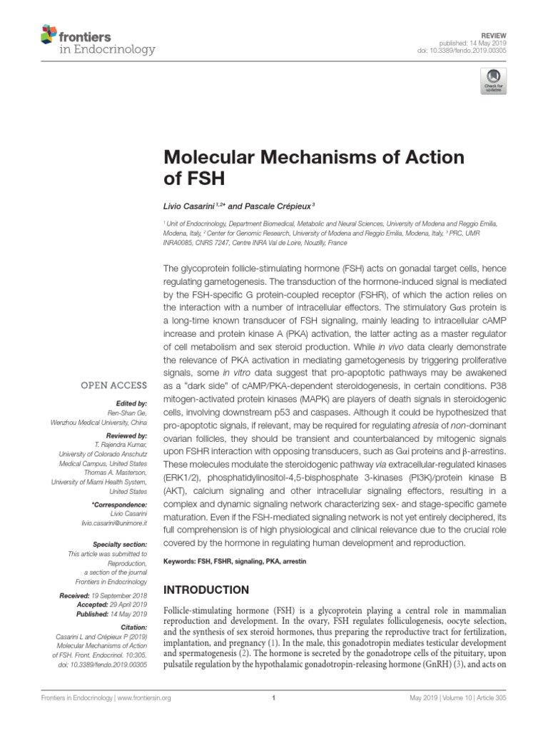 Molecular Mechanisms of Action of FSH: Livio Casarini and Pascale ...