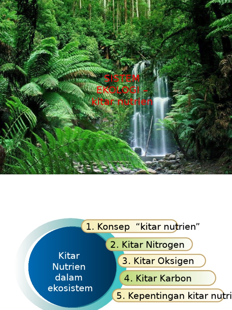 3 Kitar Nutrien | PDF