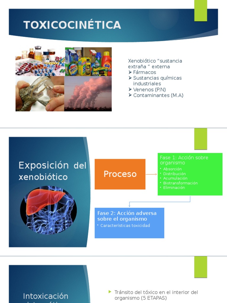 TOXICOCINÉTICA | PDF | Membrana celular | Absorción (Química)