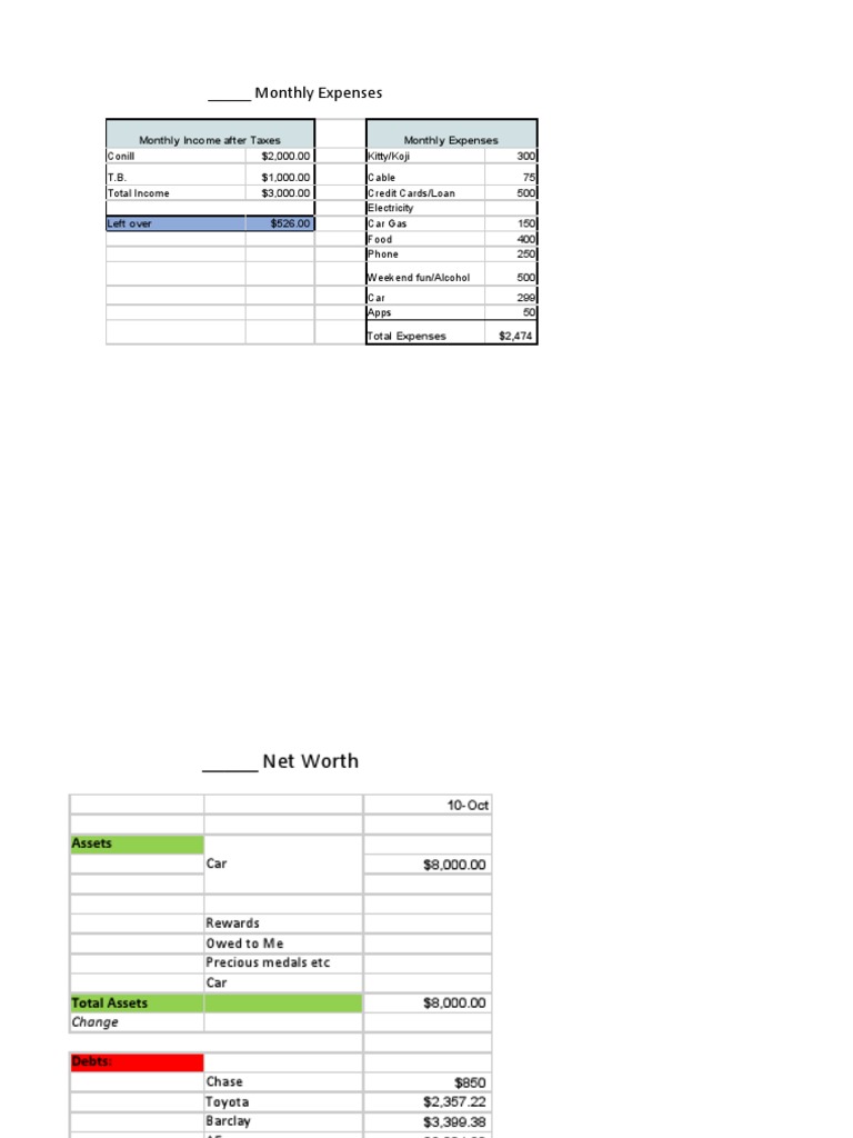 Net Worth and Expenses Tracker | PDF