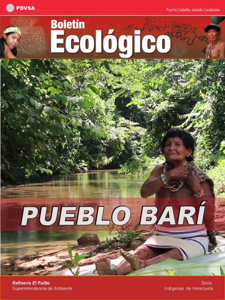 Pueblo Bari | PDF | Pueblos Indígenas de las Américas