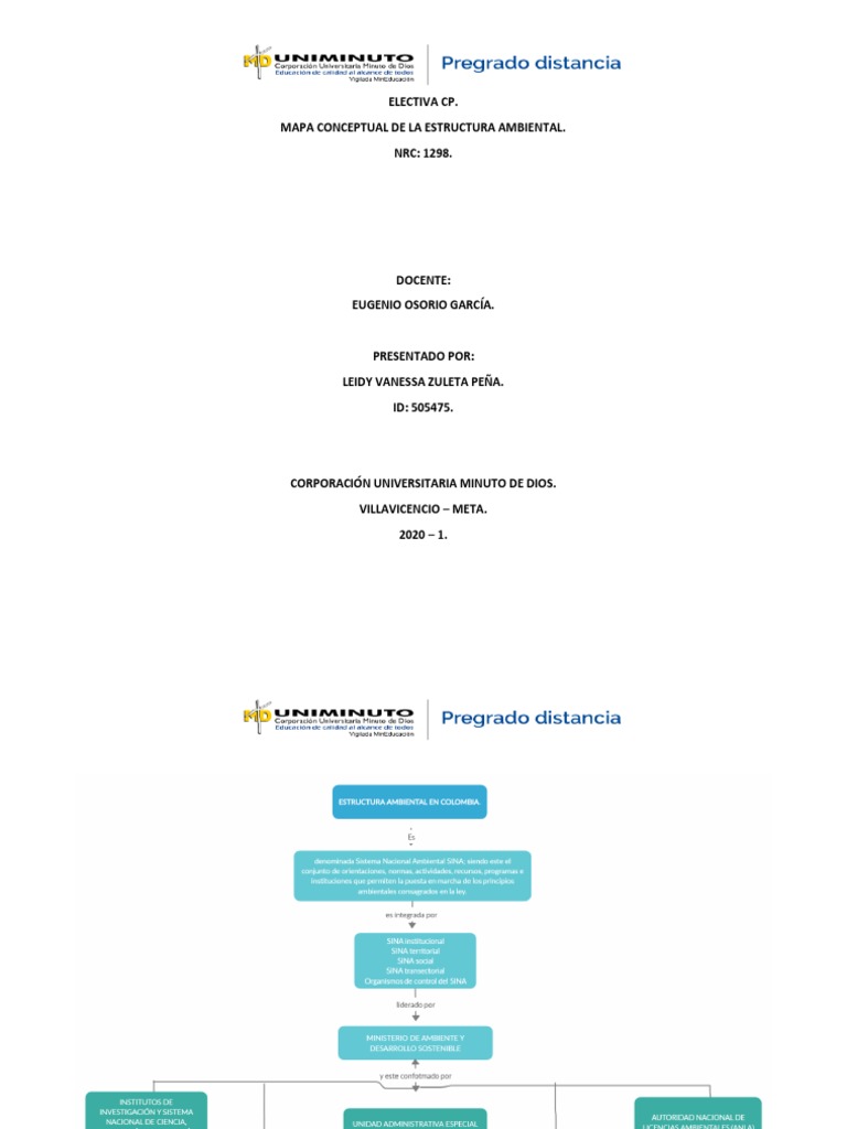 Electiva Cp. Mapa Conceptual. | PDF