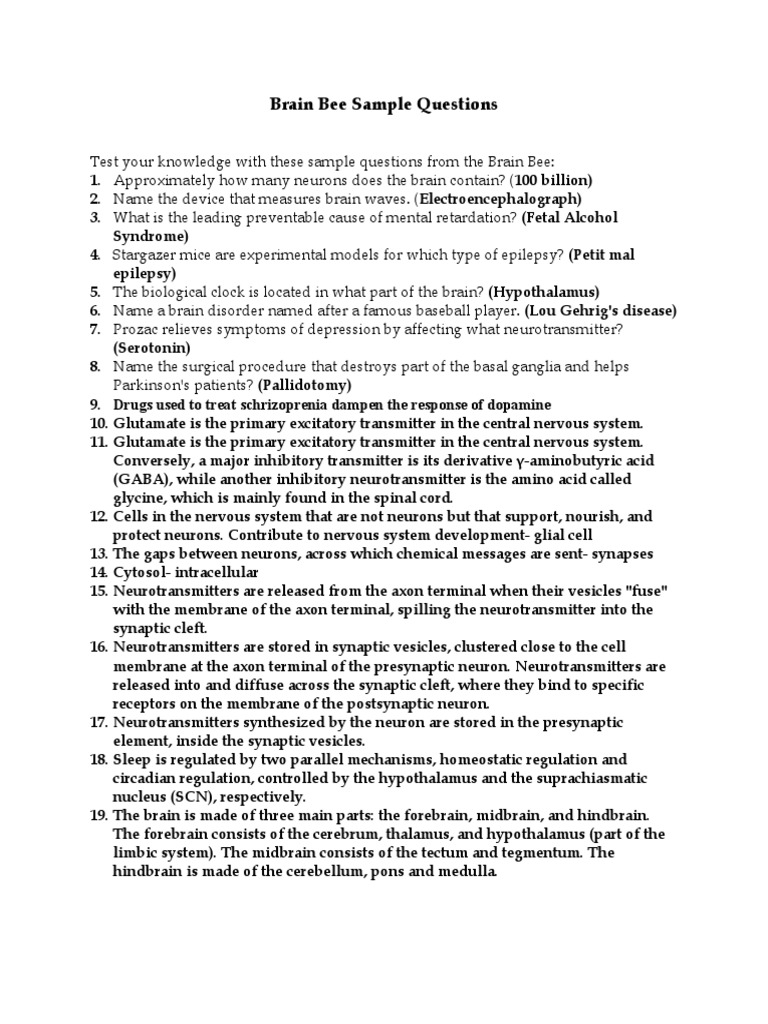 Brain Bee Sample Questions | PDF | Chemical Synapse | Neurotransmitter