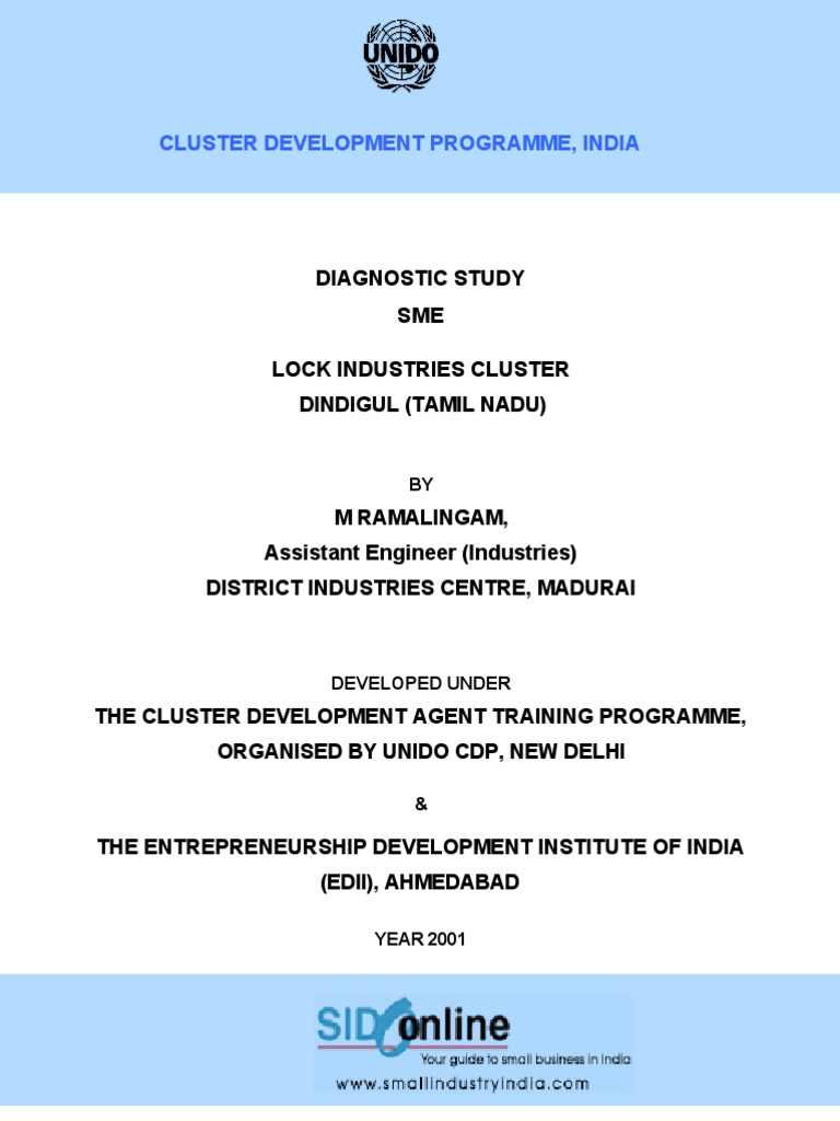 Dindigul Lock Cluster Diagnostic Study | PDF | Lock (Security Device ...